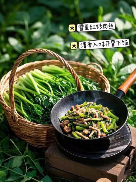 冬菜是什么菜做的_冬菜和雪里蕻的区别-第3张图片-山城妙识 冬菜是什么菜做的_冬菜和雪里蕻的区别-第3张图片-山城妙识