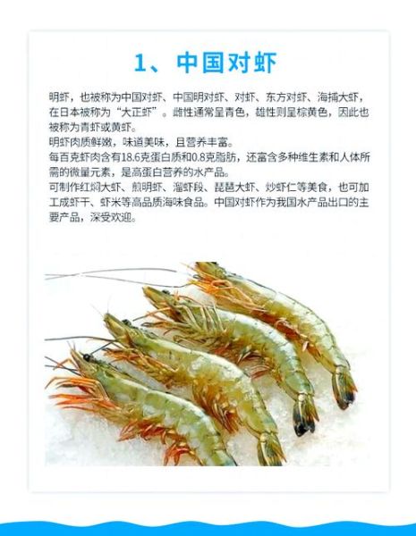 虾的种类有哪些_常见虾名称及图片对照-第3张图片-山城妙识 虾的种类有哪些_常见虾名称及图片对照-第3张图片-山城妙识