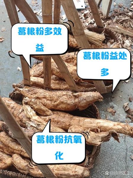 葛粉的功效与禁忌_哪些人不能吃葛粉-第1张图片-山城妙识
