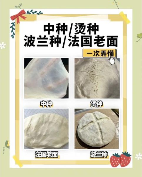 新手做面包用什么面粉_第一次做面包怎么发酵-第1张图片-山城妙识 新手做面包用什么面粉_第一次做面包怎么发酵-第1张图片-山城妙识