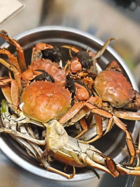 螃蟹吃什么食物_家养螃蟹喂什么-第2张图片-山城妙识 螃蟹吃什么食物_家养螃蟹喂什么-第2张图片-山城妙识