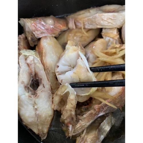 红杉鱼多少钱一斤_红杉鱼价格为什么波动大-第3张图片-山城妙识 红杉鱼多少钱一斤_红杉鱼价格为什么波动大-第3张图片-山城妙识