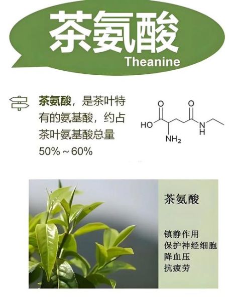 毛尖属于什么茶_毛尖茶的功效与作用-第1张图片-山城妙识 毛尖属于什么茶_毛尖茶的功效与作用-第1张图片-山城妙识