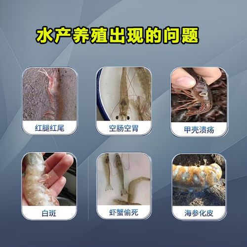 牛至香酚的作用与功效_牛至香酚能长期吃吗-第3张图片-山城妙识 牛至香酚的作用与功效_牛至香酚能长期吃吗-第3张图片-山城妙识