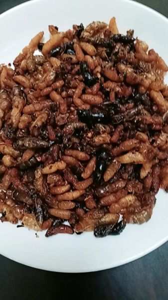 蚕蛹怎么炒又干又酥_蚕蛹酥脆技巧-第3张图片-山城妙识