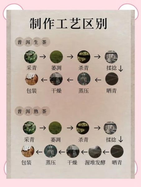 熟普洱和生普洱的区别_哪个更适合长期存放-第2张图片-山城妙识