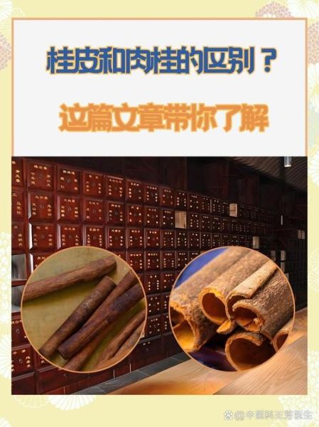 肉桂和桂皮的区别_如何挑选优质肉桂-第2张图片-山城妙识 肉桂和桂皮的区别_如何挑选优质肉桂-第2张图片-山城妙识