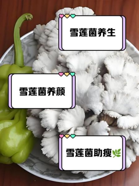 雪莲菌酸奶怎么做_雪莲菌酸奶的功效与作用-第2张图片-山城妙识 雪莲菌酸奶怎么做_雪莲菌酸奶的功效与作用-第2张图片-山城妙识