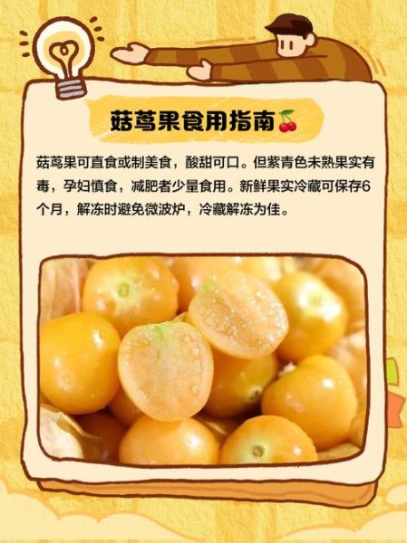 菇茑果的功效与作用_菇茑果的禁忌有哪些-第3张图片-山城妙识 菇茑果的功效与作用_菇茑果的禁忌有哪些-第3张图片-山城妙识