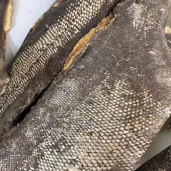 龙趸鱼图片多少钱一斤_龙趸鱼市场价格2024-第1张图片-山城妙识 龙趸鱼图片多少钱一斤_龙趸鱼市场价格2024-第1张图片-山城妙识