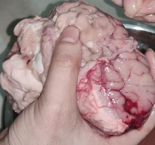 牛脑怎么做好吃_牛脑的做法大全家常-第3张图片-山城妙识