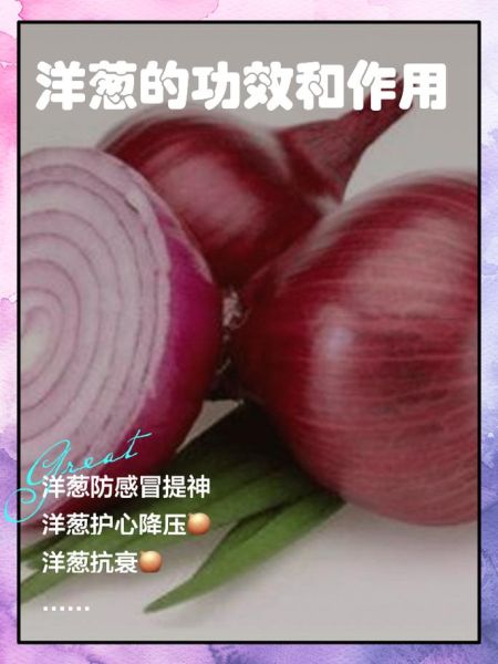 洋葱的功效与作用禁忌_生吃洋葱会上火吗-第1张图片-山城妙识