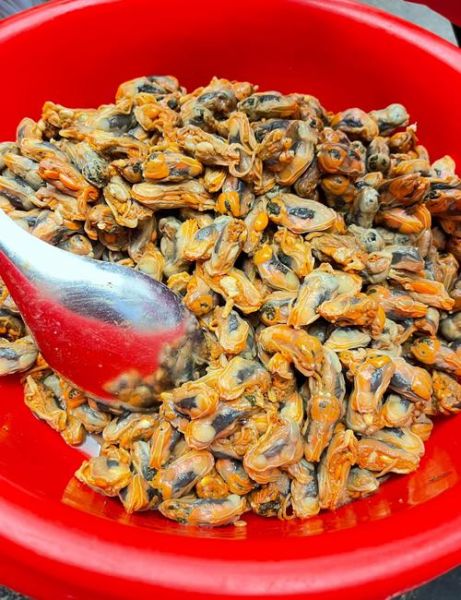 海虹怎么清洗_水煮海虹几分钟才熟-第3张图片-山城妙识 海虹怎么清洗_水煮海虹几分钟才熟-第3张图片-山城妙识