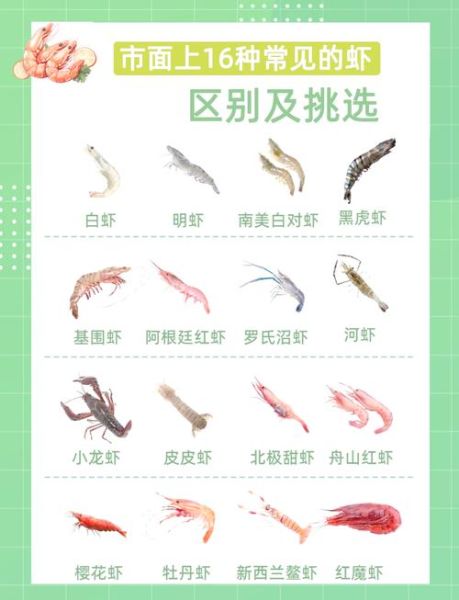 食用虾的种类有哪些_如何区分常见虾类-第3张图片-山城妙识