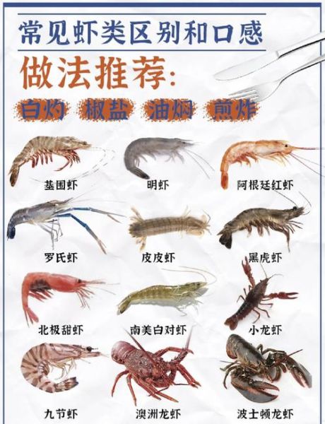 食用虾的种类有哪些_如何区分常见虾类-第2张图片-山城妙识