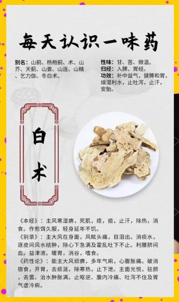 白术的功效与副作用_白术怎么吃才安全-第3张图片-山城妙识 白术的功效与副作用_白术怎么吃才安全-第3张图片-山城妙识