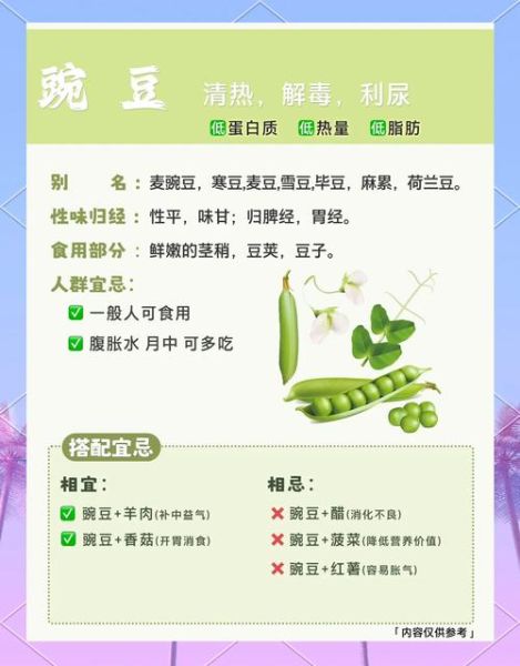 雪豆是什么_雪豆和豌豆的区别-第1张图片-山城妙识 雪豆是什么_雪豆和豌豆的区别-第1张图片-山城妙识