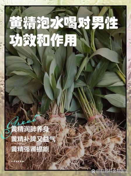 黄精枸杞泡水喝的功效_适合什么人喝-第2张图片-山城妙识