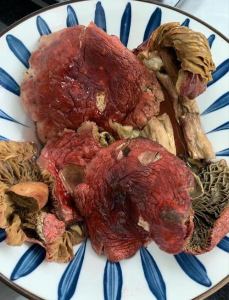 红菇煲汤做法大全_红菇怎么煲汤好喝-第2张图片-山城妙识