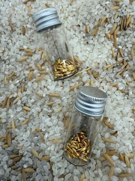 黄金大米事件真相_转基因食品安全吗-第2张图片-山城妙识 黄金大米事件真相_转基因食品安全吗-第2张图片-山城妙识