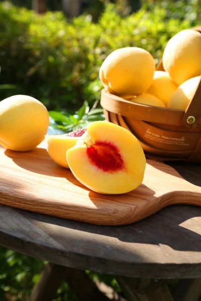 黄桃图库正能量视频在线观看_如何快速找到高清资源-第1张图片-山城妙识 黄桃图库正能量视频在线观看_如何快速找到高清资源-第1张图片-山城妙识