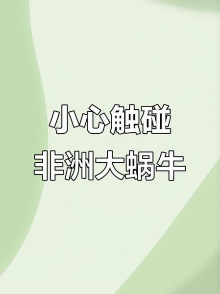 非洲大蜗牛有病毒吗_非洲大蜗牛携带哪些病毒-第1张图片-山城妙识 非洲大蜗牛有病毒吗_非洲大蜗牛携带哪些病毒-第1张图片-山城妙识