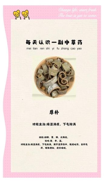 厚朴的功效与作用_厚朴能长期吃吗-第1张图片-山城妙识 厚朴的功效与作用_厚朴能长期吃吗-第1张图片-山城妙识