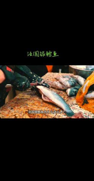 银鳕鱼多少钱一斤_银鳕鱼价格为什么差异大-第2张图片-山城妙识
