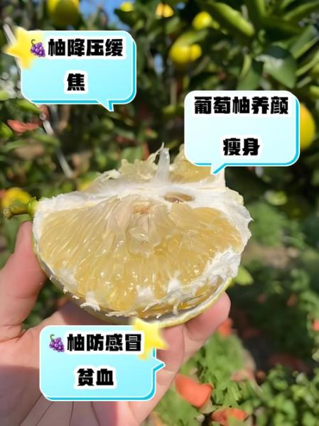 葡萄柚的营养价值及功效与作用_葡萄柚怎么吃最健康-第2张图片-山城妙识 葡萄柚的营养价值及功效与作用_葡萄柚怎么吃最健康-第2张图片-山城妙识