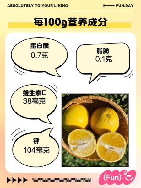 葡萄柚的营养价值及功效与作用_葡萄柚怎么吃最健康-第3张图片-山城妙识 葡萄柚的营养价值及功效与作用_葡萄柚怎么吃最健康-第3张图片-山城妙识