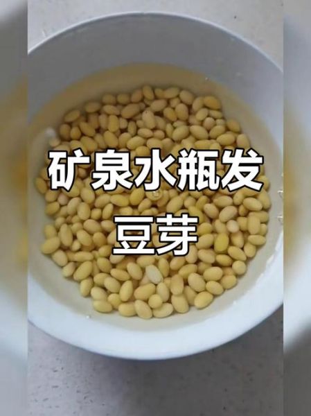 矿泉水瓶发豆芽的方法_矿泉水瓶发豆芽多久能好-第1张图片-山城妙识 矿泉水瓶发豆芽的方法_矿泉水瓶发豆芽多久能好-第1张图片-山城妙识