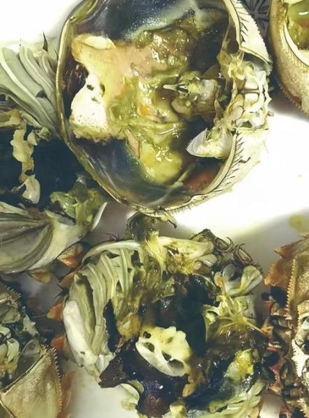 煮熟的螃蟹吃不完怎么保存_隔夜还能吃吗-第3张图片-山城妙识 煮熟的螃蟹吃不完怎么保存_隔夜还能吃吗-第3张图片-山城妙识