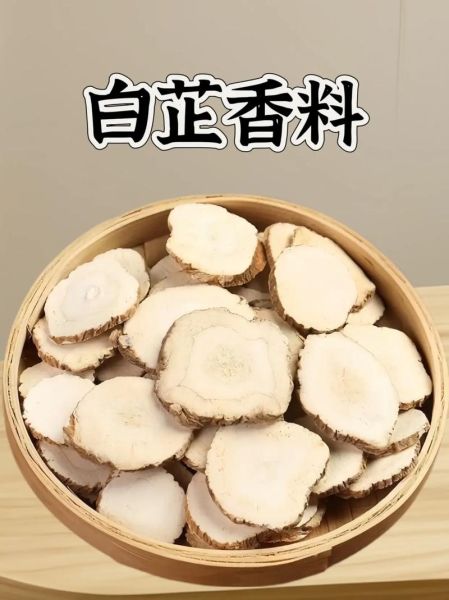 白芷图片_香料怎么用-第1张图片-山城妙识 白芷图片_香料怎么用-第1张图片-山城妙识