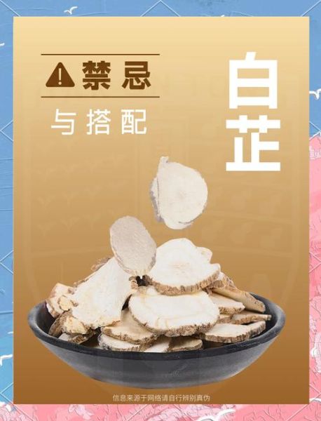 白芷图片_香料怎么用-第2张图片-山城妙识 白芷图片_香料怎么用-第2张图片-山城妙识