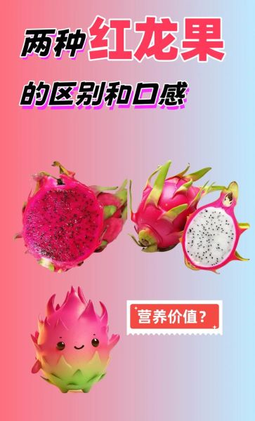红心火龙果和白心火龙果哪个好_营养价值区别-第1张图片-山城妙识 红心火龙果和白心火龙果哪个好_营养价值区别-第1张图片-山城妙识