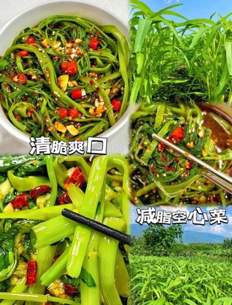 空心菜和什么搭配好吃_空心菜最佳搭配推荐-第1张图片-山城妙识 空心菜和什么搭配好吃_空心菜最佳搭配推荐-第1张图片-山城妙识