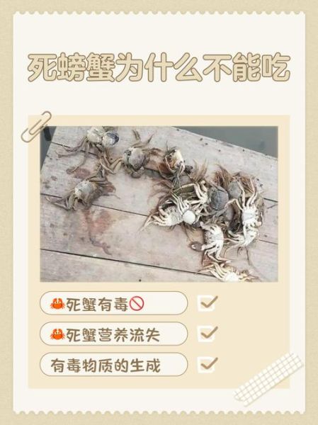 运输途中死掉的螃蟹能吃吗_死蟹中毒风险-第1张图片-山城妙识
