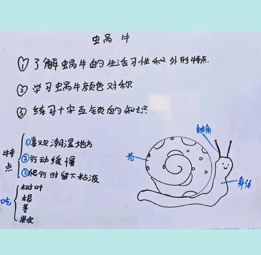 蜗牛养久了会认主人吗_怎么判断蜗牛认主人-第2张图片-山城妙识 蜗牛养久了会认主人吗_怎么判断蜗牛认主人-第2张图片-山城妙识