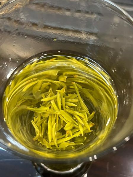 黄山毛峰怎么泡_黄山毛峰属于什么茶-第1张图片-山城妙识 黄山毛峰怎么泡_黄山毛峰属于什么茶-第1张图片-山城妙识