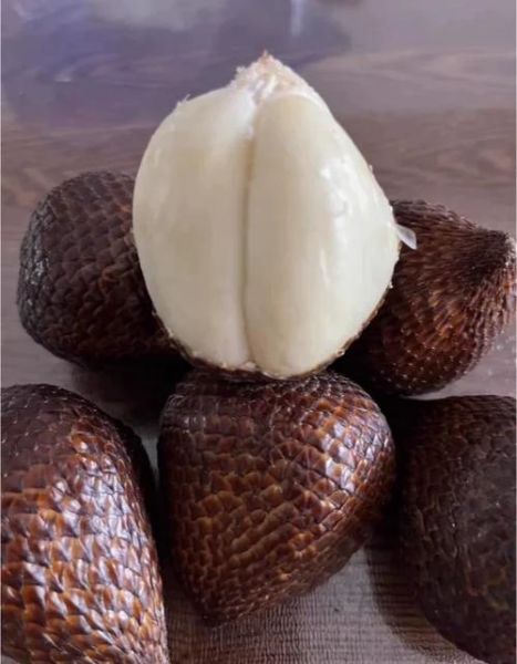 蛇皮果怎么吃图解法_蛇皮果的正确吃法-第2张图片-山城妙识