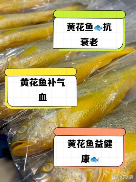 小黄花鱼的营养价值_小黄花鱼的功效与作用-第1张图片-山城妙识 小黄花鱼的营养价值_小黄花鱼的功效与作用-第1张图片-山城妙识