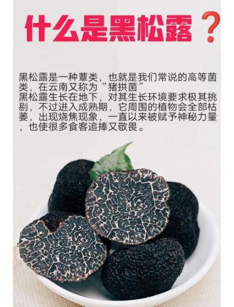 黑松露的功效与禁忌_黑松露怎么吃才健康-第1张图片-山城妙识 黑松露的功效与禁忌_黑松露怎么吃才健康-第1张图片-山城妙识