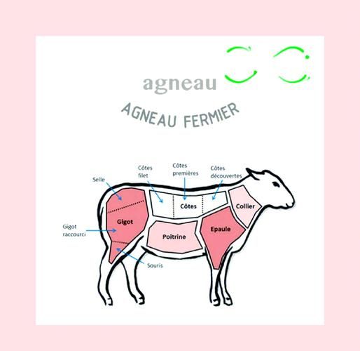 羊肉英语怎么读音_羊肉用英语怎么说-第2张图片-山城妙识