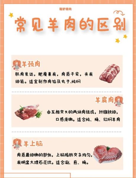 羊肉英语怎么读音_羊肉用英语怎么说-第3张图片-山城妙识