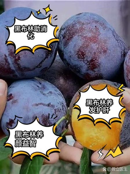 黑布林的功效与作用_黑布林怎么吃最健康-第1张图片-山城妙识 黑布林的功效与作用_黑布林怎么吃最健康-第1张图片-山城妙识