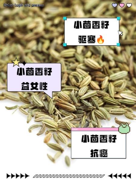 茴香籽的功效与作用_茴香籽怎么吃效果最好-第3张图片-山城妙识 茴香籽的功效与作用_茴香籽怎么吃效果最好-第3张图片-山城妙识