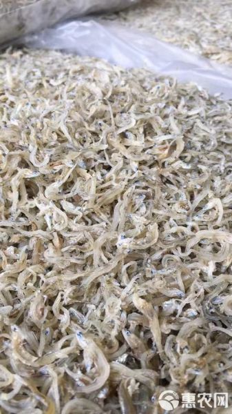 银鱼好还是丁香鱼好_营养与口感全面对比-第3张图片-山城妙识 银鱼好还是丁香鱼好_营养与口感全面对比-第3张图片-山城妙识