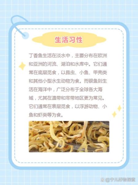 银鱼好还是丁香鱼好_营养与口感全面对比-第1张图片-山城妙识 银鱼好还是丁香鱼好_营养与口感全面对比-第1张图片-山城妙识