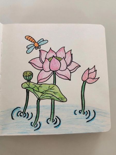 荷花简笔画怎么画_荷花简笔画步骤-第3张图片-山城妙识 荷花简笔画怎么画_荷花简笔画步骤-第3张图片-山城妙识