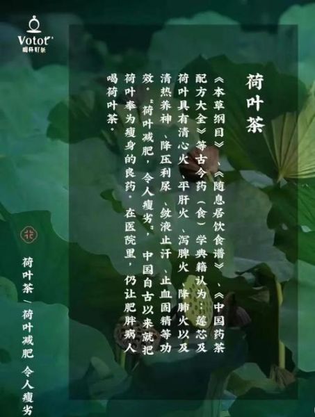 荷叶茶的功效与作用_荷叶茶有副作用吗-第1张图片-山城妙识 荷叶茶的功效与作用_荷叶茶有副作用吗-第1张图片-山城妙识